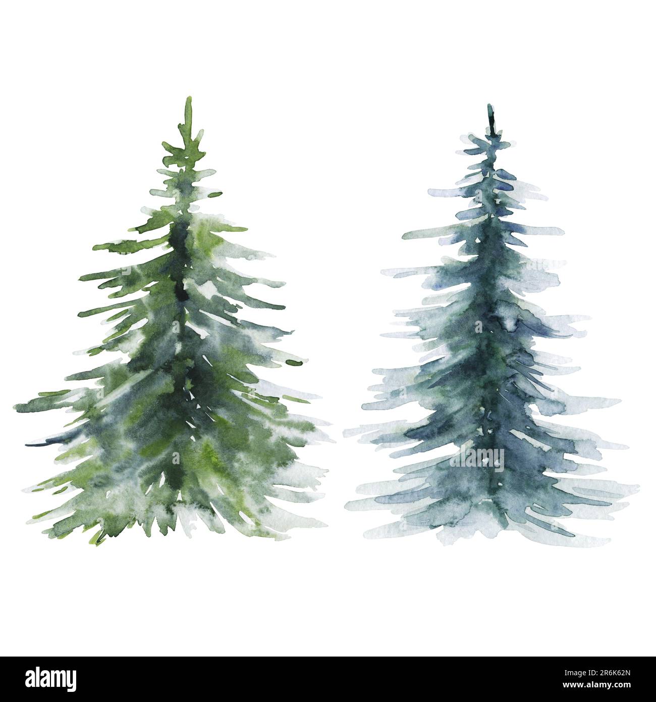 Watercolor christmas fir tree set on white background. Watercolour ...