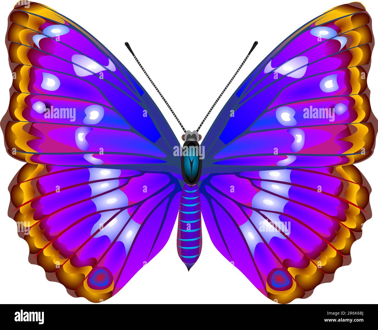 Grassland moth Stock Vector Images - Alamy