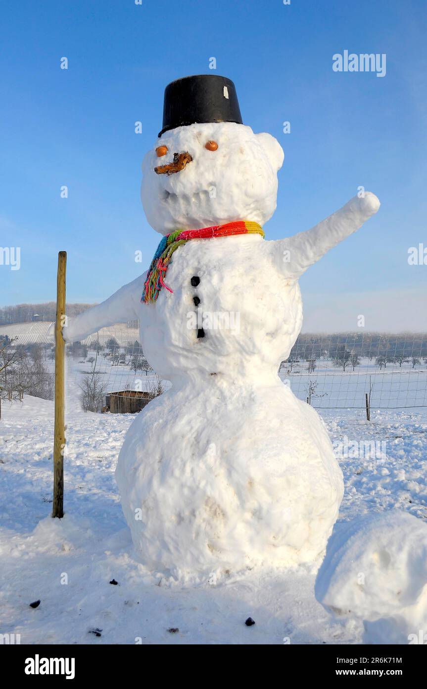 Snowman Family with animal figures, winter landscape Snowman Family ...