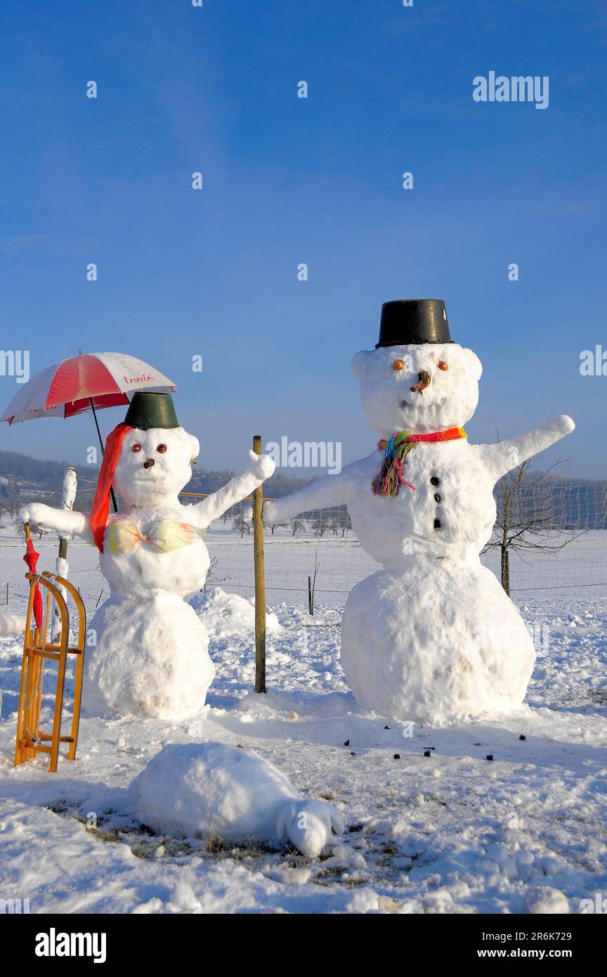 Snowman Family with animal figures, winter landscape Snowman Family ...