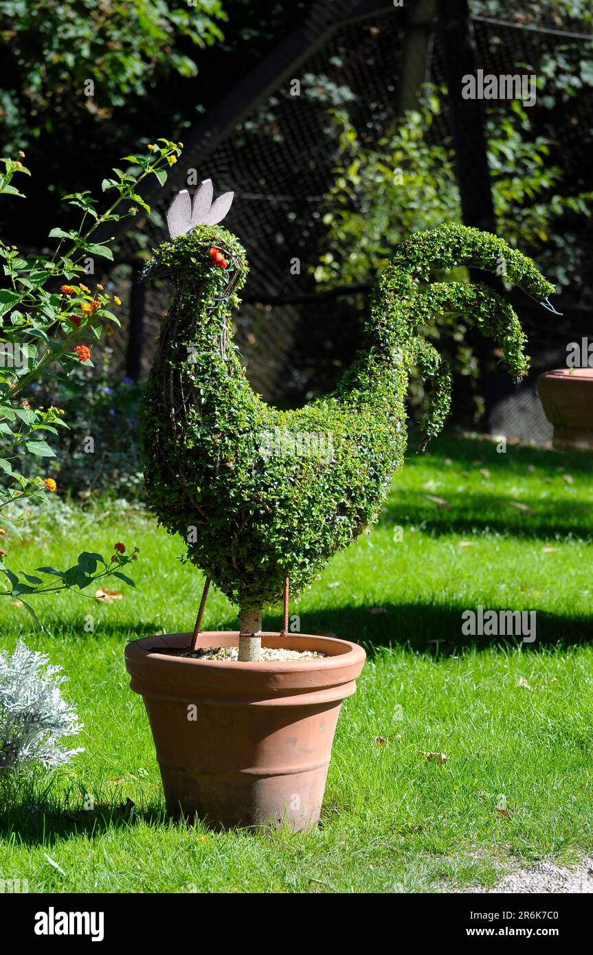 Boxwood Topiary Animals