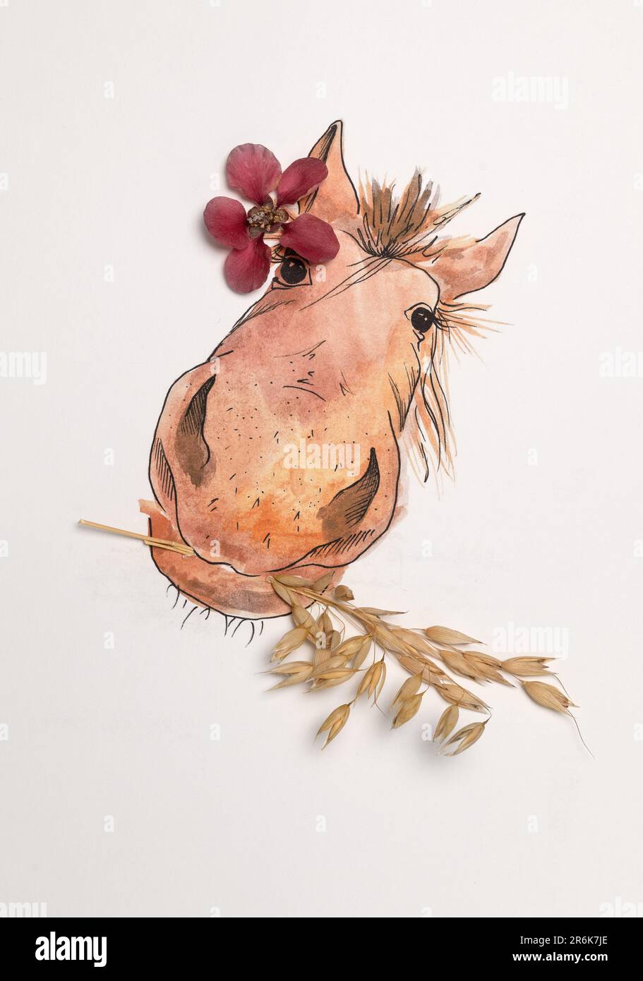 Brown flower clip art hi-res stock photography and images - Alamy