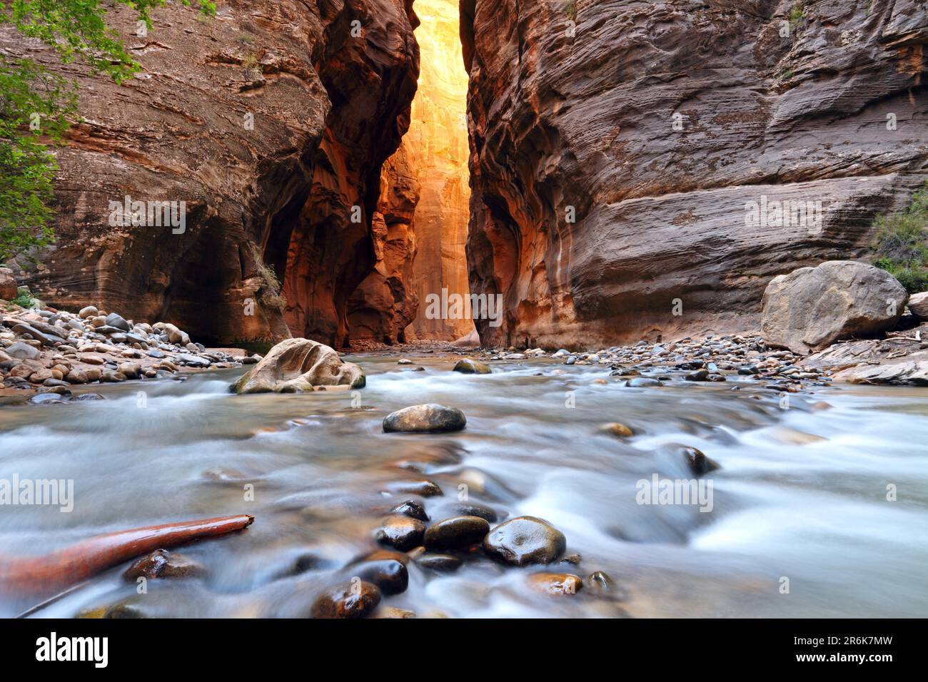 The Narrows, Virgin River, Zion National Park, UT, USA Stock Photo - Alamy