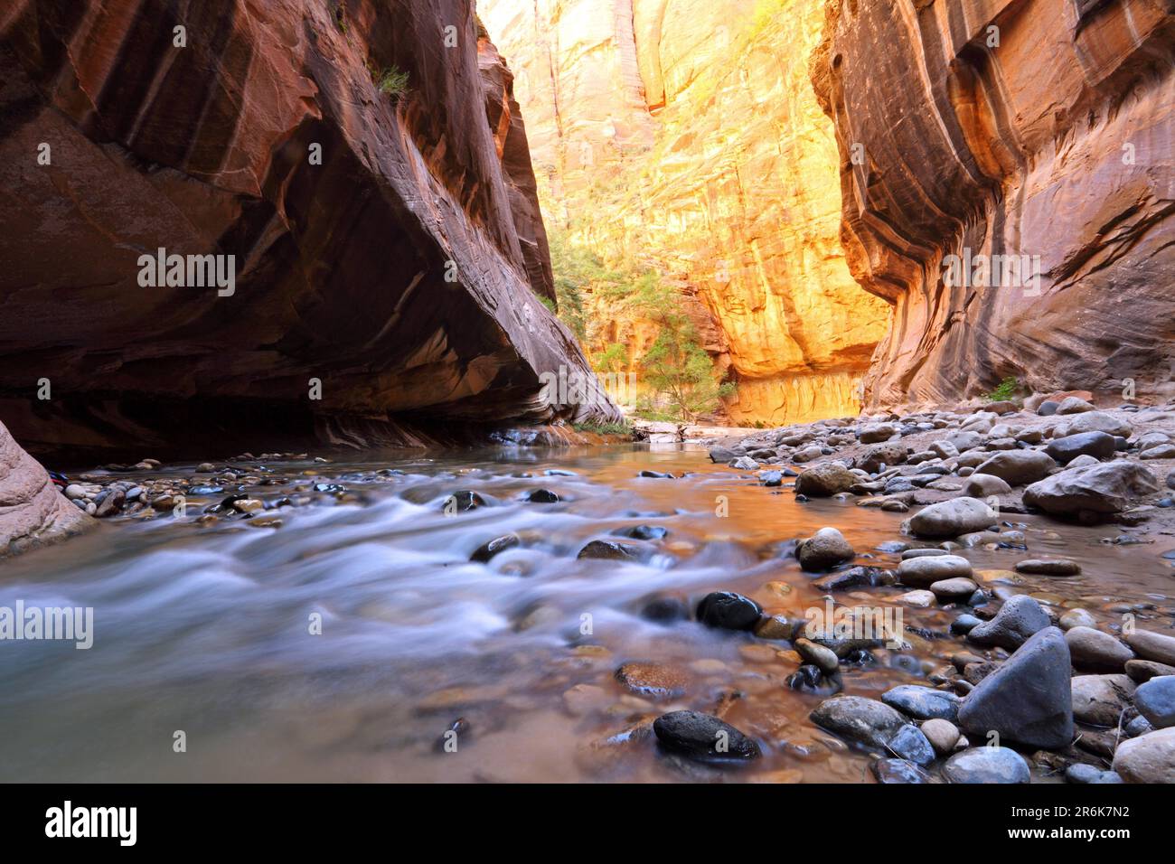 The Narrows, Virgin River, Zion National Park, UT, USA Stock Photo - Alamy