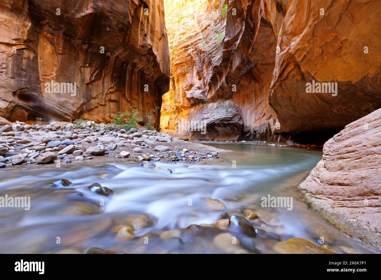 The Narrows, Virgin River, Zion National Park, UT, USA Stock Photo - Alamy