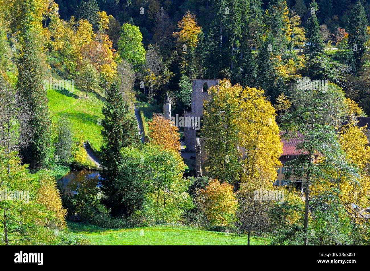 Black Forest near All Saints' Day in autumn, colourful autumn forest ...