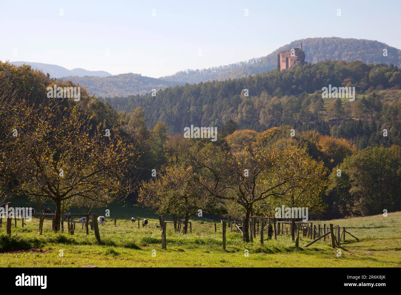 Fleckenstein Rock Castle Stock Photo - Alamy