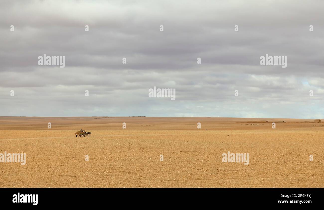 Donkey carts on the road in the Moroccan countryside Stock Photo - Alamy