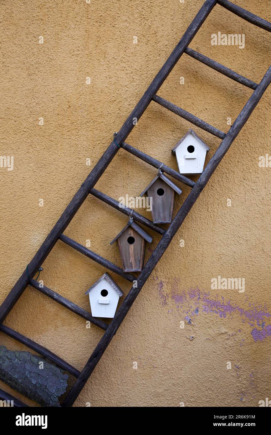 Handmade bird houses, good for concepts of care and safety Stock Photo ...