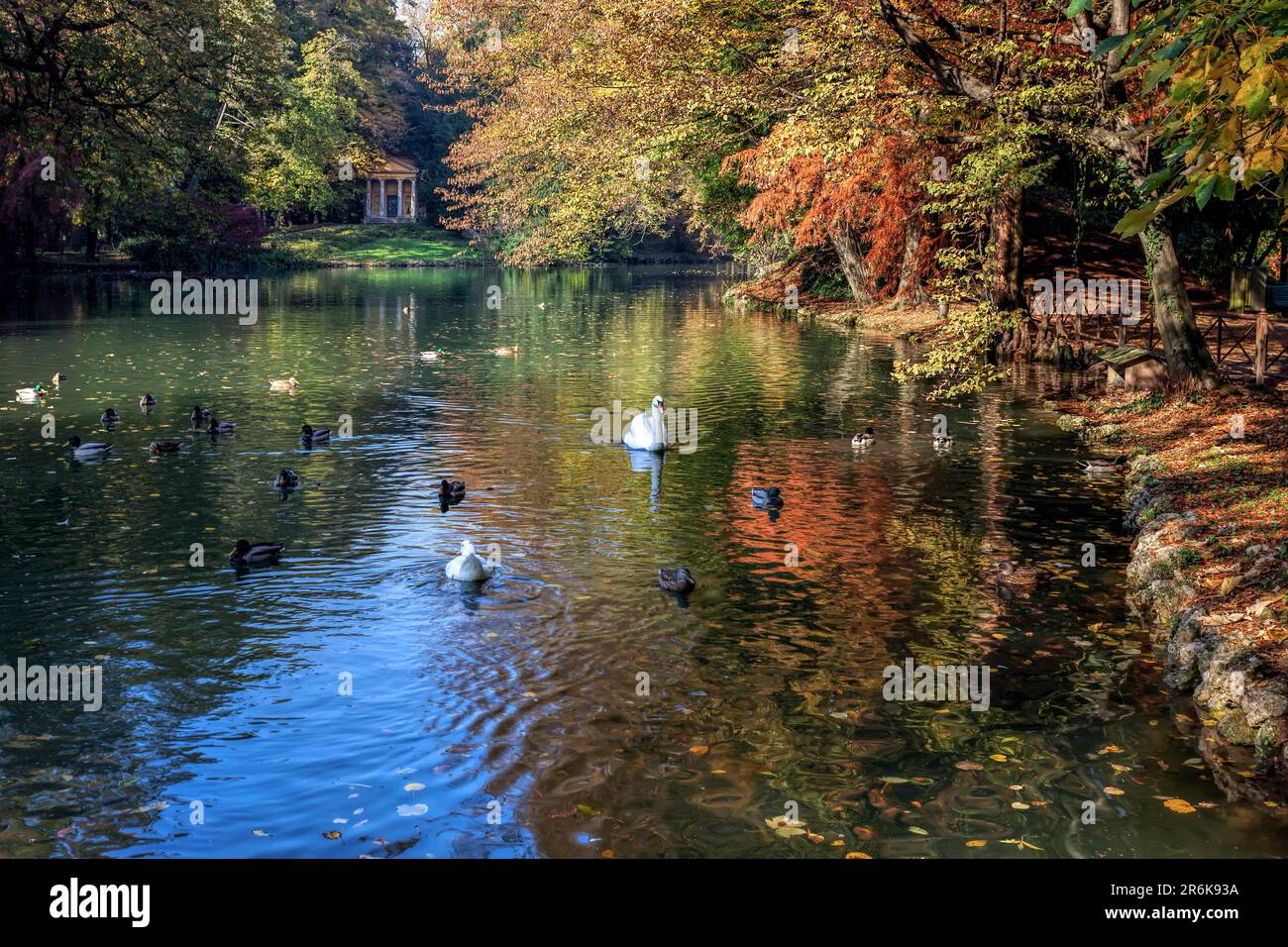 Autumn Scene at the Lake in Parco di Monza Stock Photo - Alamy