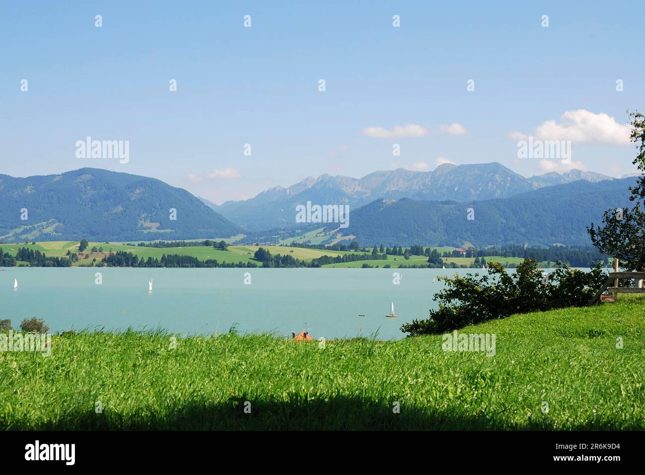 Lake Forggensee in the alps at Fuessen (Bavaria) (Germany Stock Photo ...