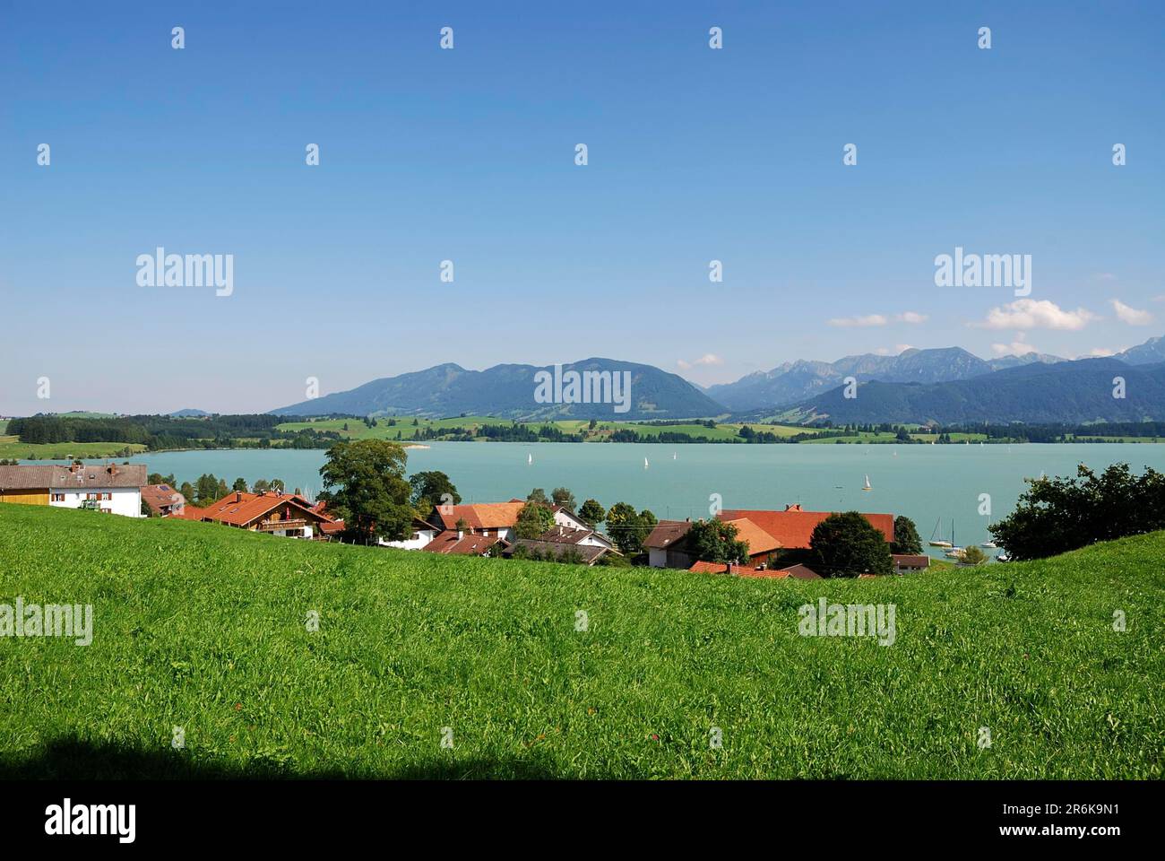 Lake Forggensee in the alps at Fuessen (Bavaria) (Germany Stock Photo ...