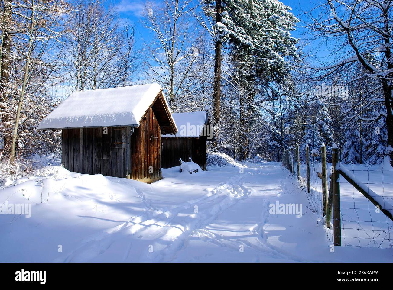 Winter forest log cabin hi-res stock photography and images - Alamy