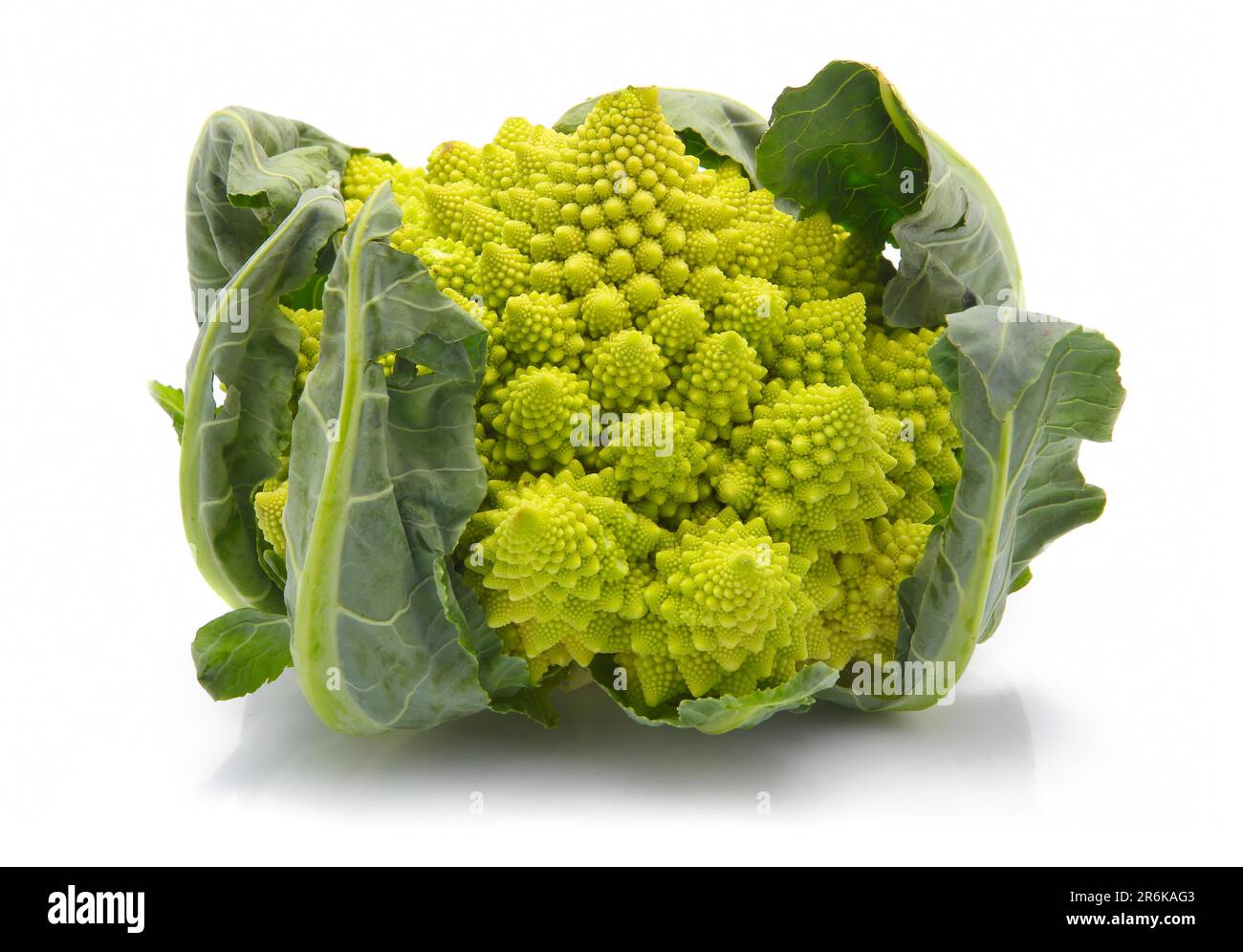 Romanesco broccoli cabbage (or Roman Cauliflower) isolated on white ...