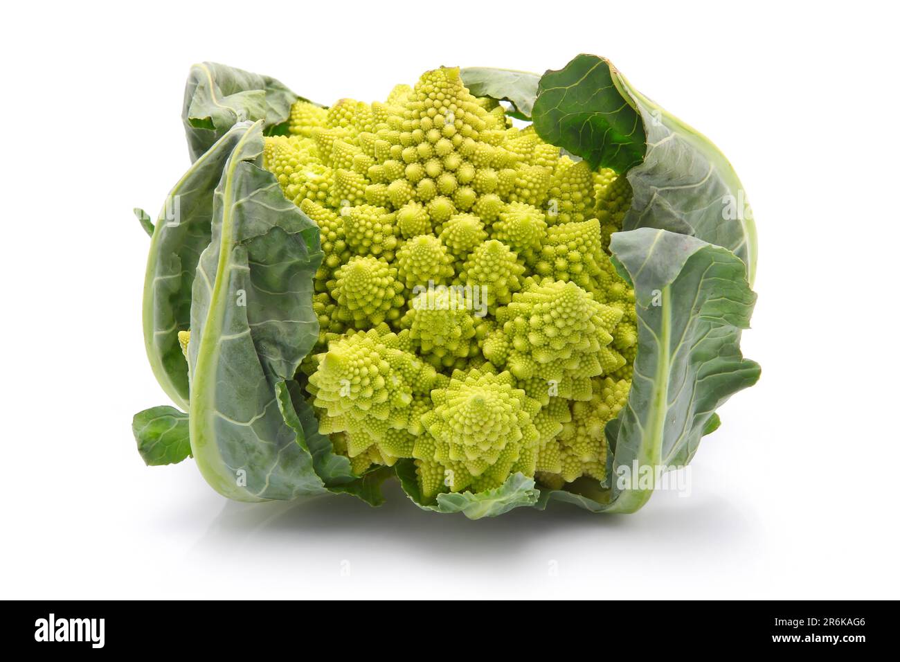 Romanesco broccoli cabbage (or Roman Cauliflower) isolated on white ...