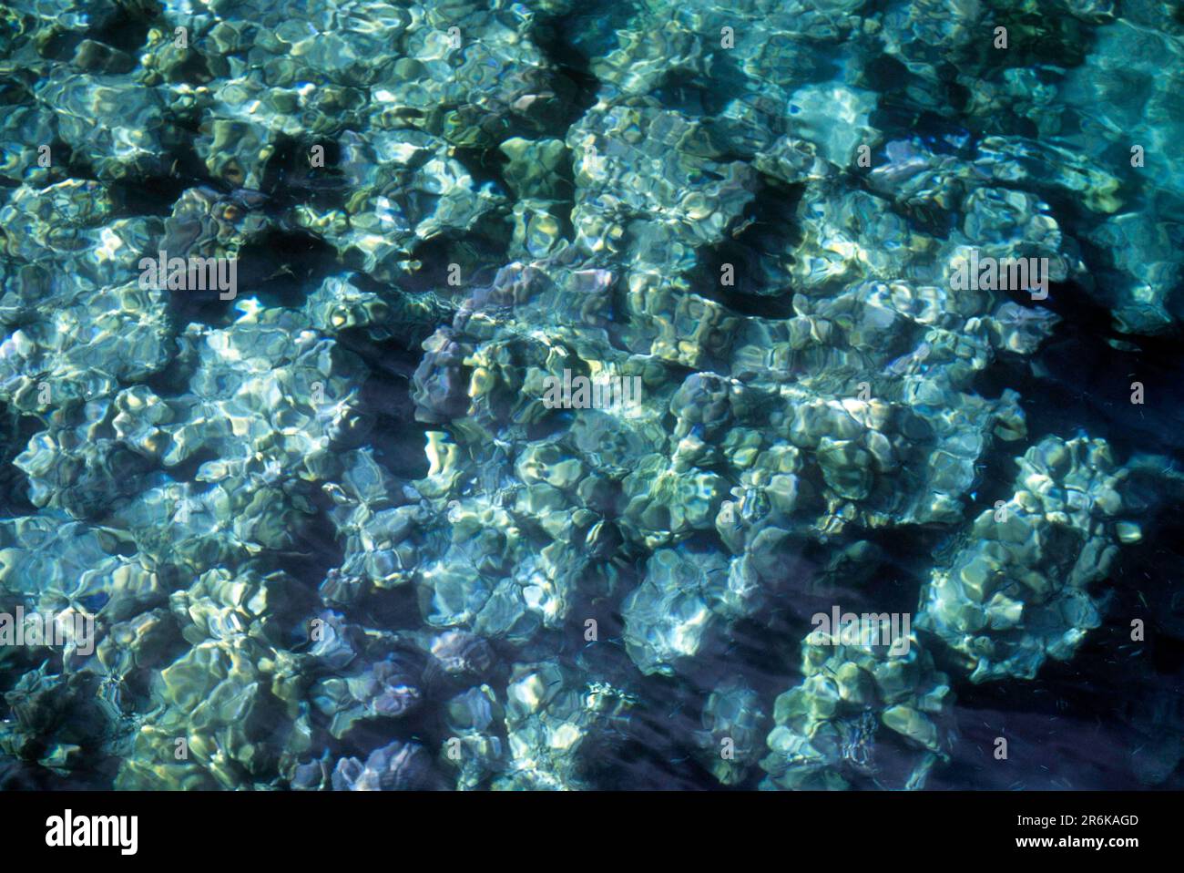 Colourful rocks under the sea in Havelock Island, Andaman and Nicobar ...