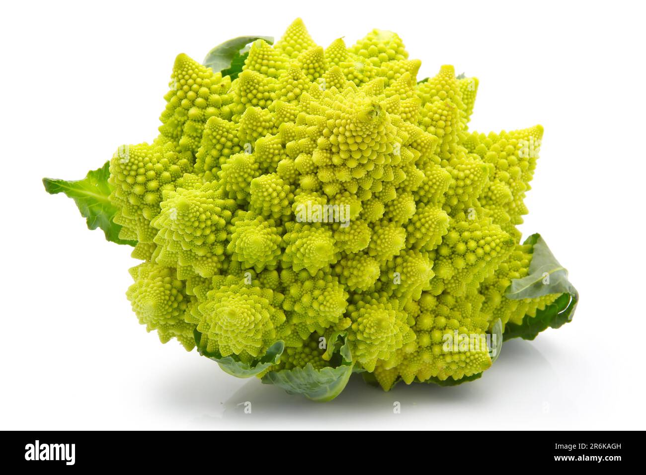 Romanesco broccoli cabbage (or Roman Cauliflower) isolated on white ...