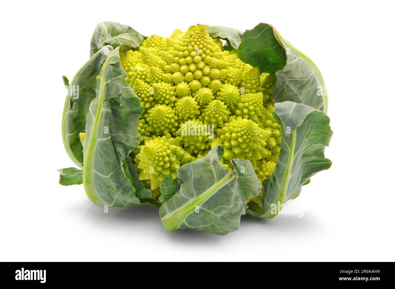 Romanesco broccoli cabbage (or Roman Cauliflower) isolated on white ...