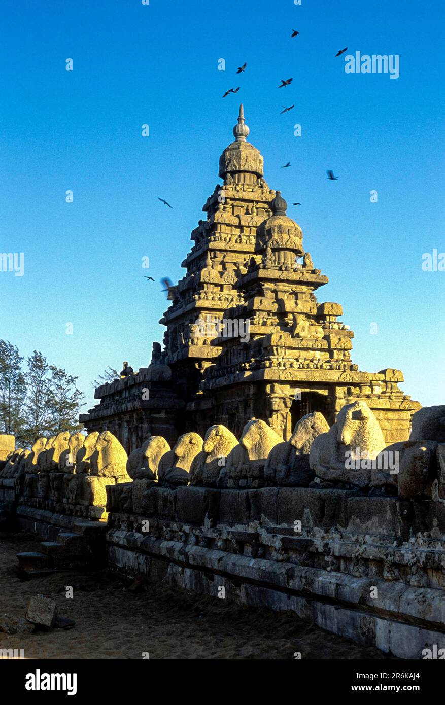 Shore temple dedicated to gods Vishnu and Shiva built c. 700, 728 in ...