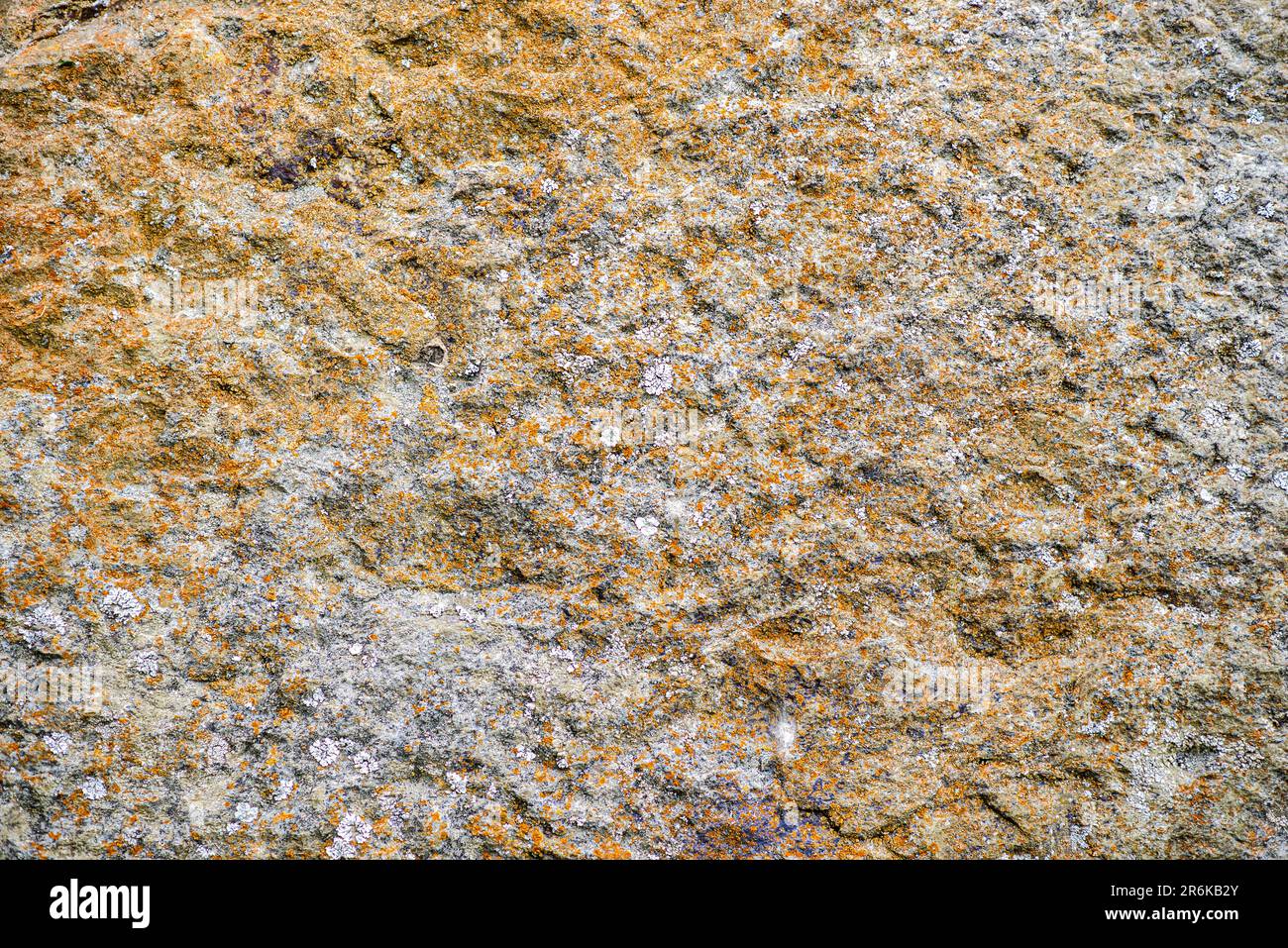 Texture of old stone with mold. Can be used as background Stock Photo ...
