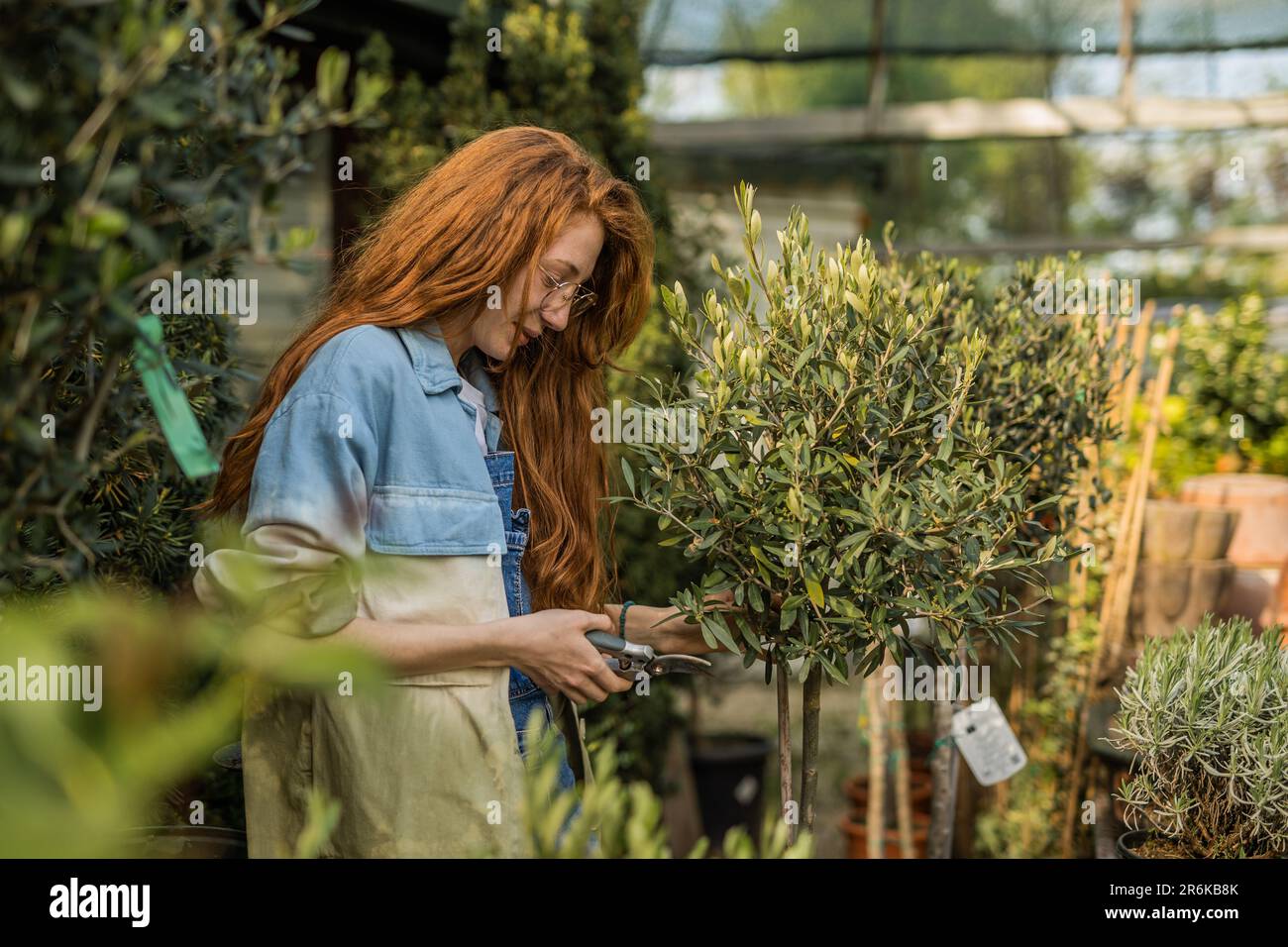 Beautiful garden girl working at the garden. She is cutting tree ...