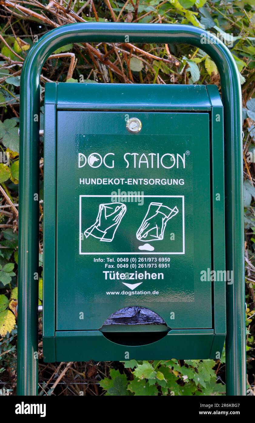 Dog Dog Station, Dog Toilet, Dog Loo Stock Photo - Alamy