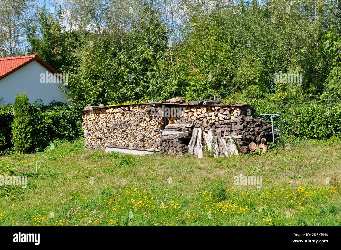Split firewood in the shed Stock Photo - Alamy