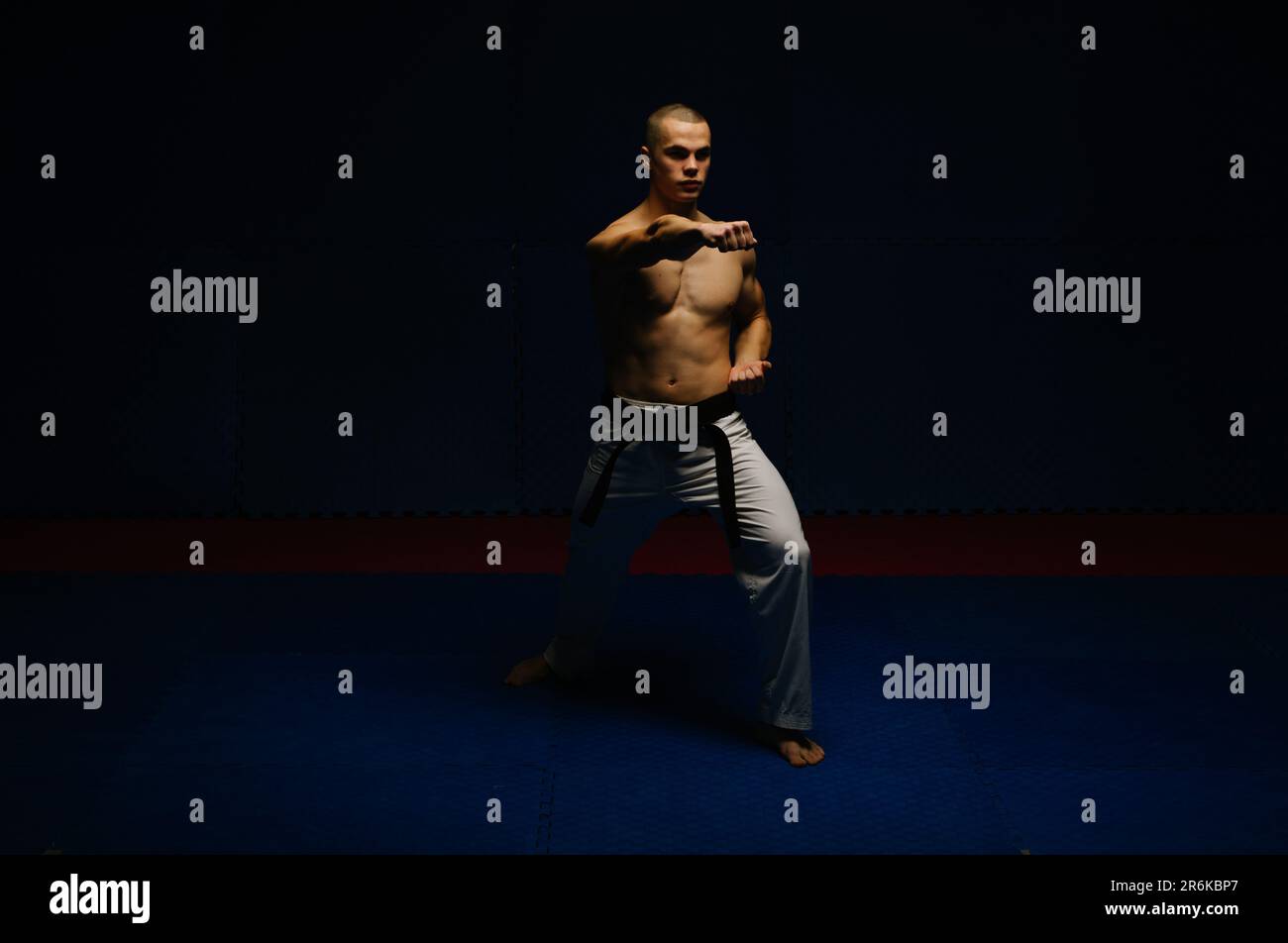 Gyaku tsuki hi-res stock photography and images - Alamy