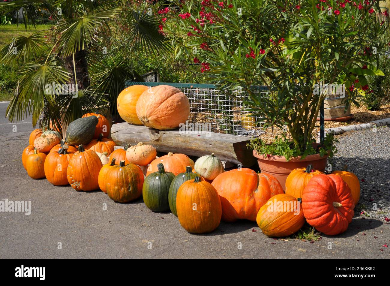 Farm shop exterior hi-res stock photography and images - Alamy