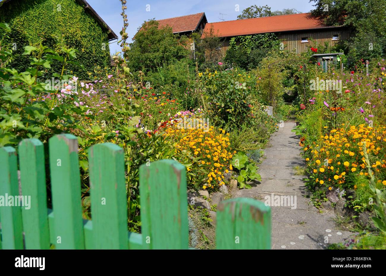 Farm garden with garden house, perennials Stock Photo - Alamy
