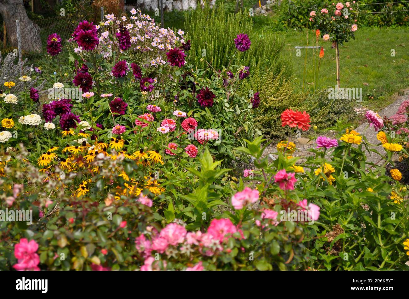 Farm garden with garden house, various perennials Stock Photo - Alamy