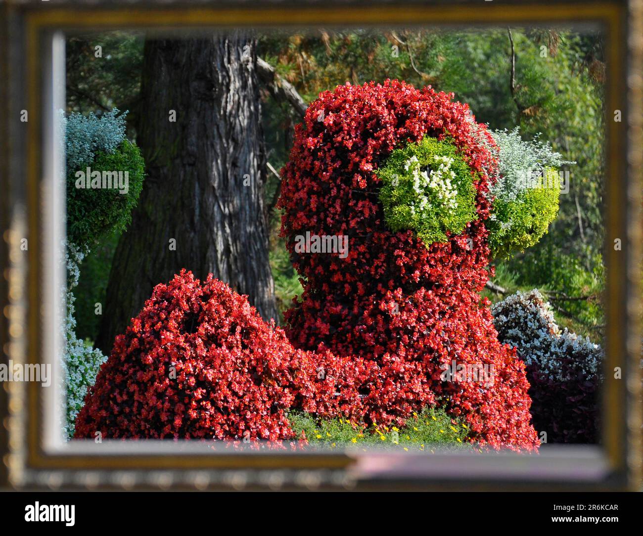 On Lake Constance, Mainau Island, Duck figure made of flowers Stock ...