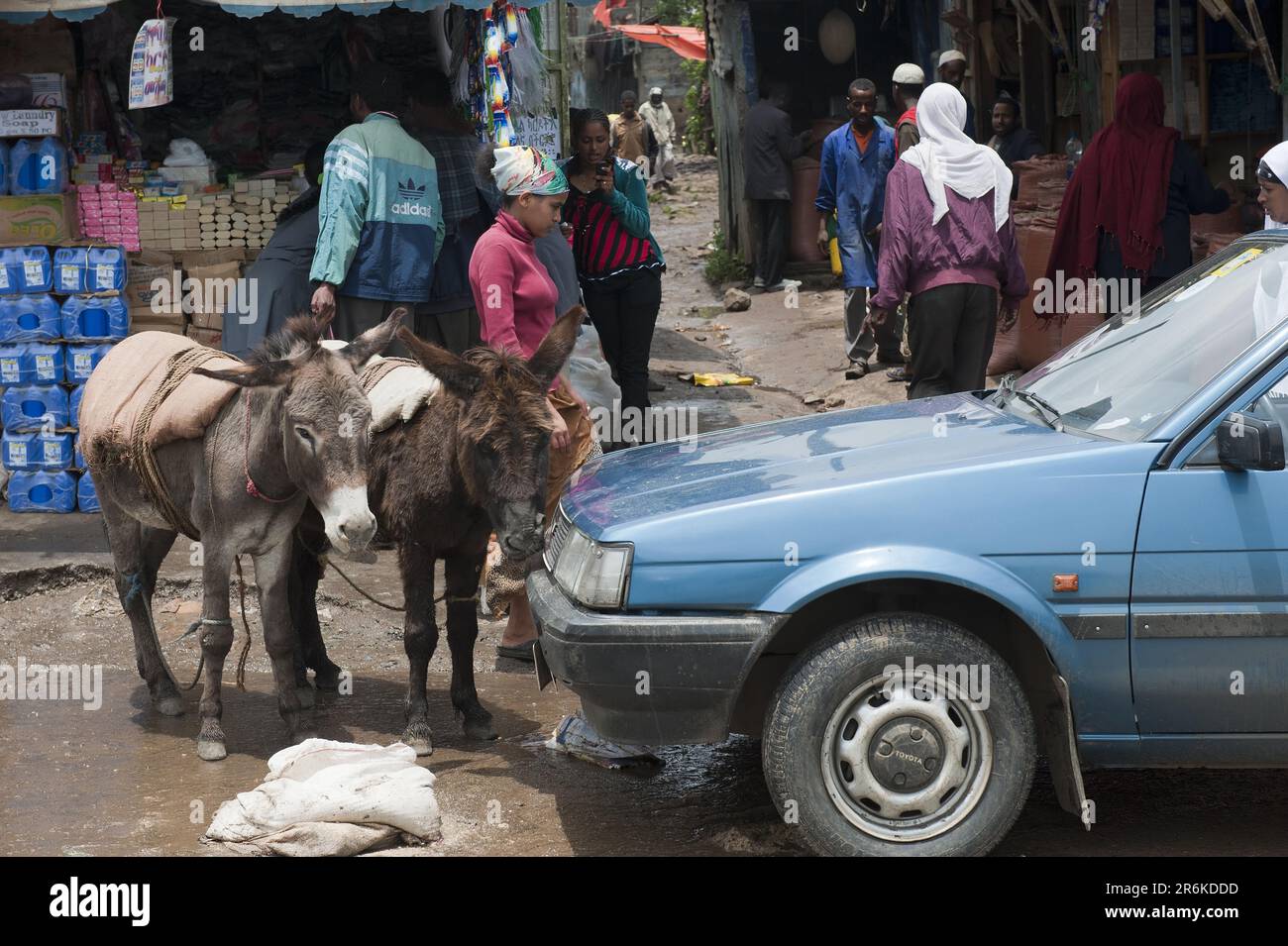 Market, Mercato, Addis Ababa, Ethiopia, House donkey Stock Photo - Alamy
