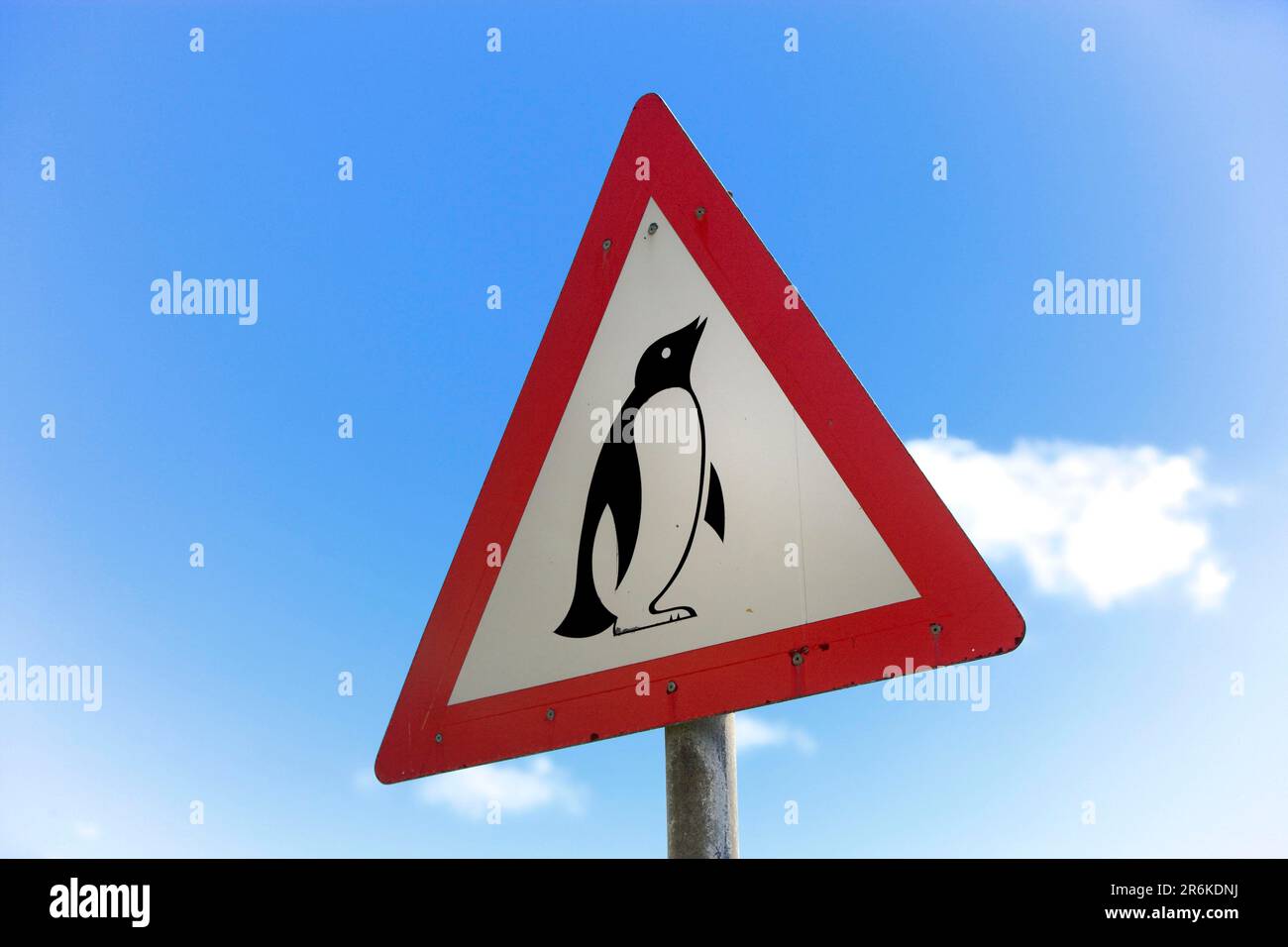 Road Sign Caution, Penguins, Simons Town, Boulder, South Africa Stock ...