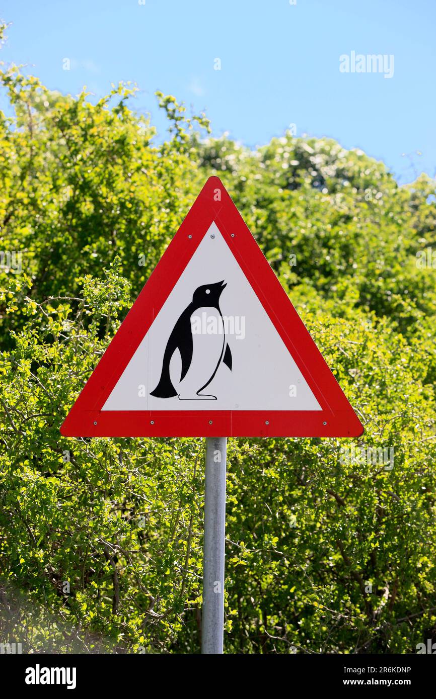 Road Sign Caution, Penguins, Simons Town, Boulder, South Africa Stock ...