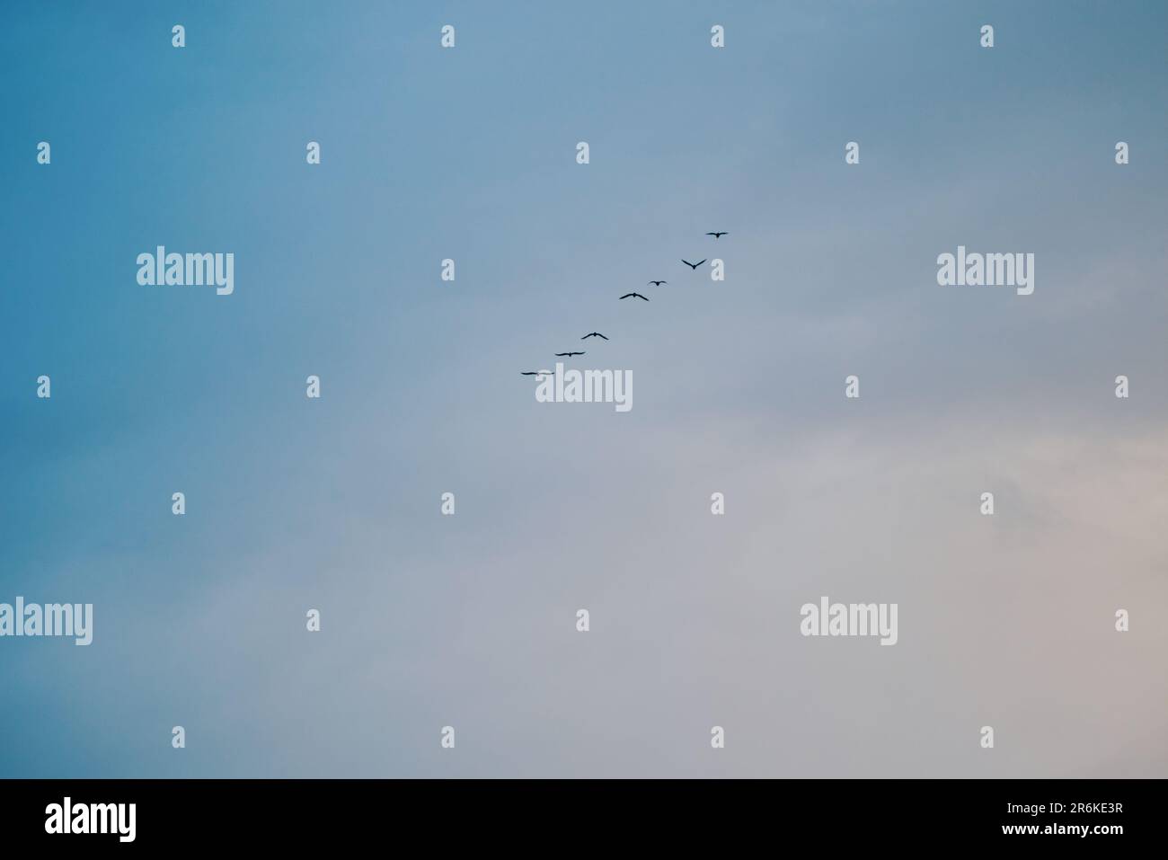 Wings cloud formation hi-res stock photography and images - Alamy
