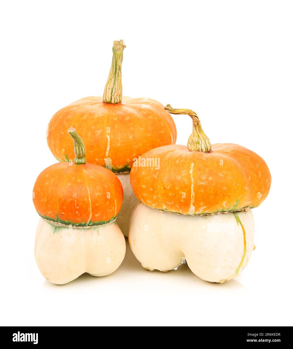 Ripe Gourds Vegetables Isolated on White Background Stock Photo - Alamy