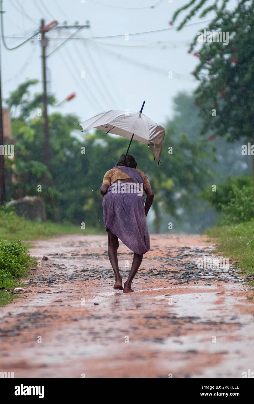 Hunch back old woman on a rainy day Tamil Nadu, India, Asia Stock Photo ...