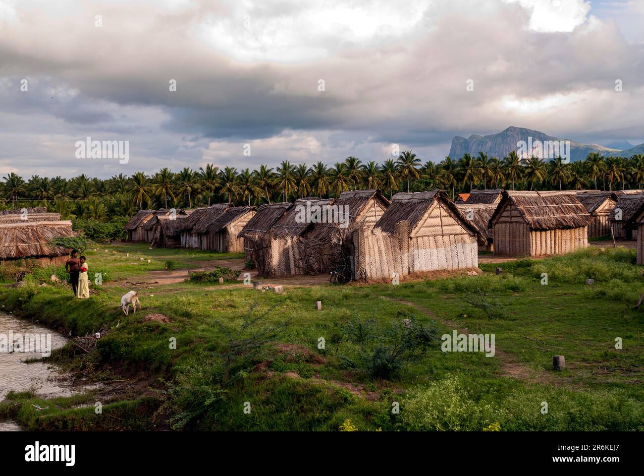 A row village huts on an evening light, Tamil Nadu, South India, India ...