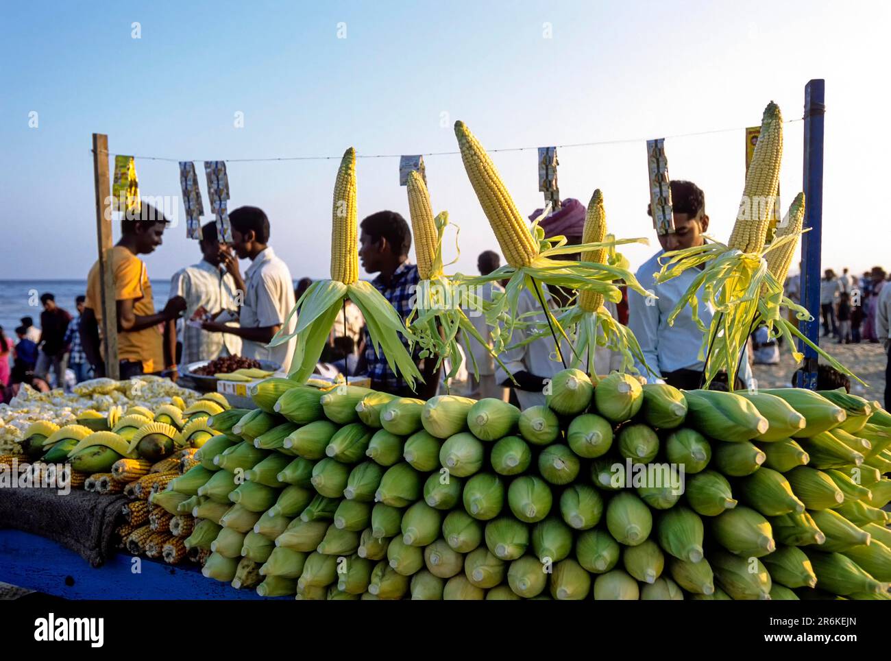 Corn sale in Marina beach, Chennai, Tamil Nadu, India, Asia Stock Photo ...