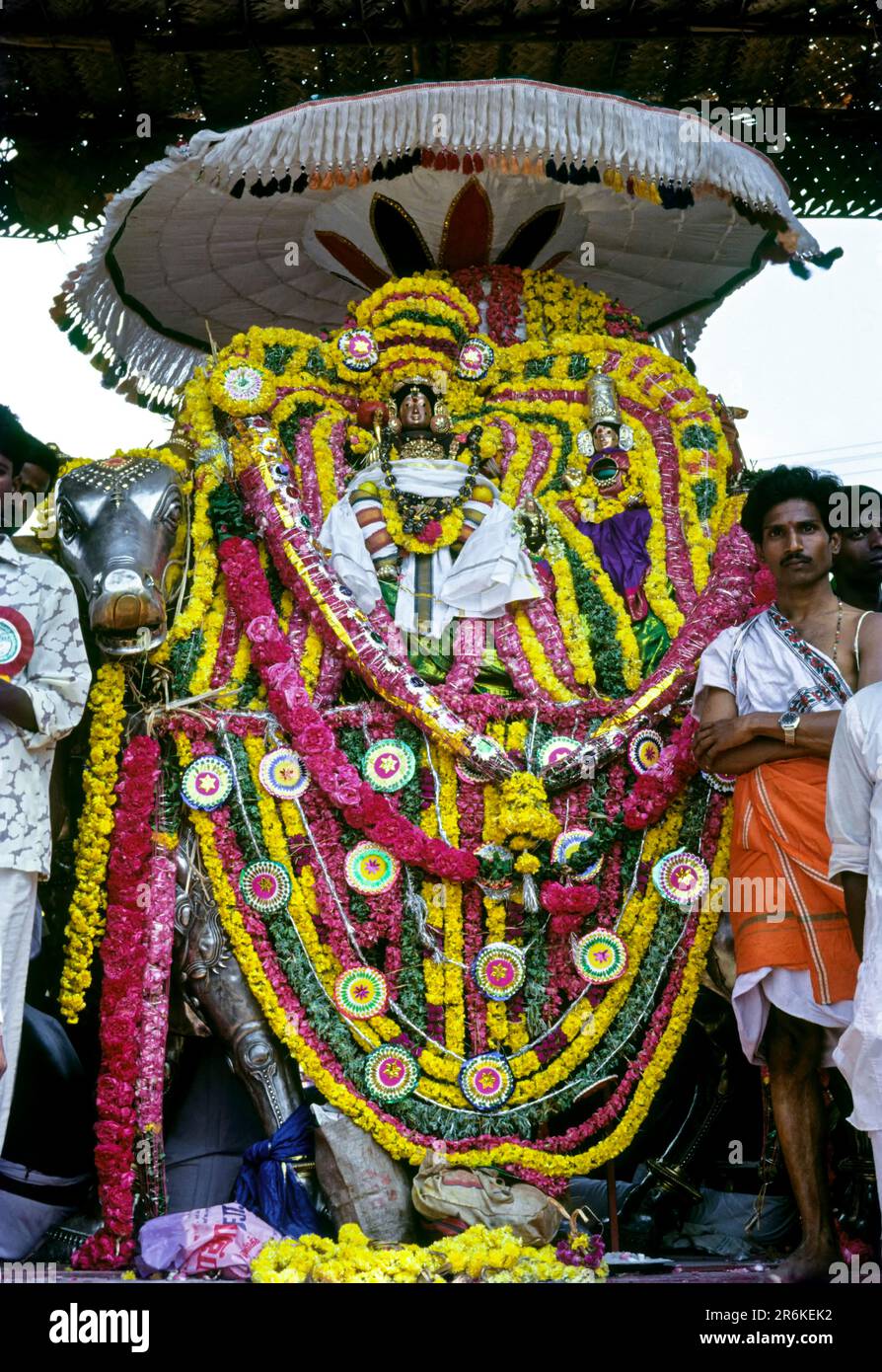 Lord Kumbeswara with goddess Mangalambigai in decorated Rishaba Vahanam ...