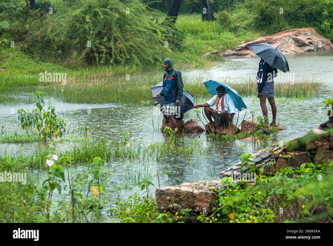Village people angling during a rainy day, Tamil Nadu, South India ...