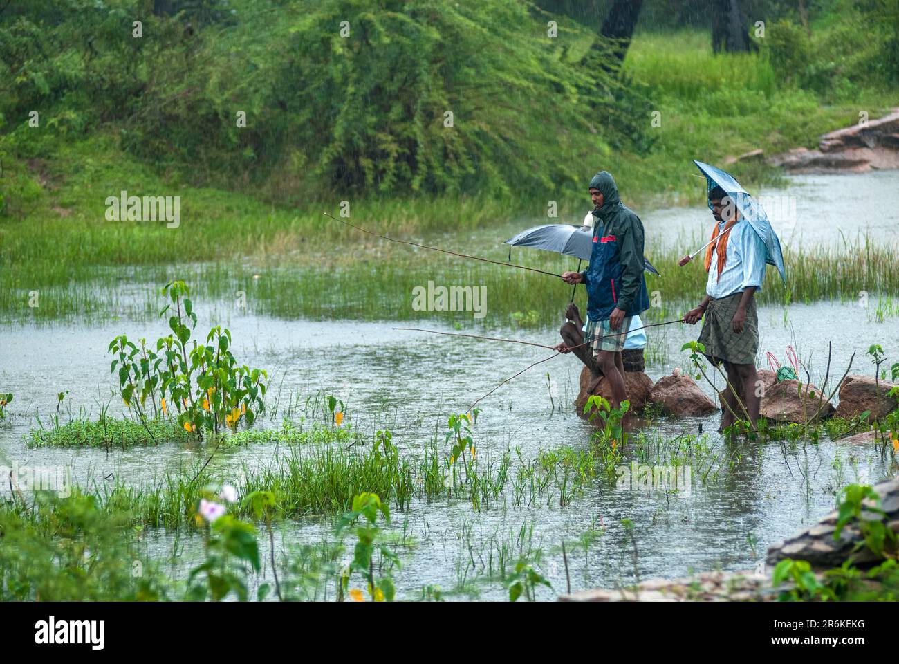Village people angling during a rainy day, Tamil Nadu, South India ...