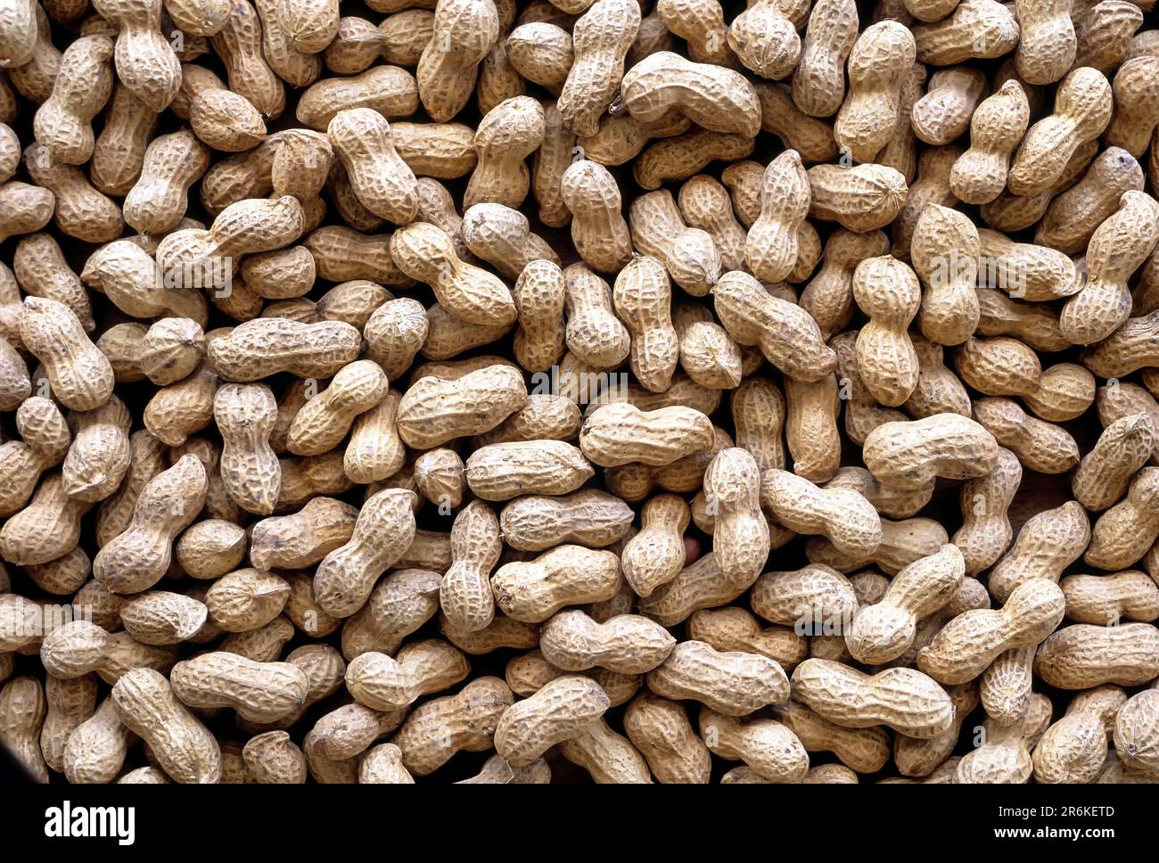 Pea nuts (Arachis hypogaea Linn) ground nuts, South India, India, Asia ...