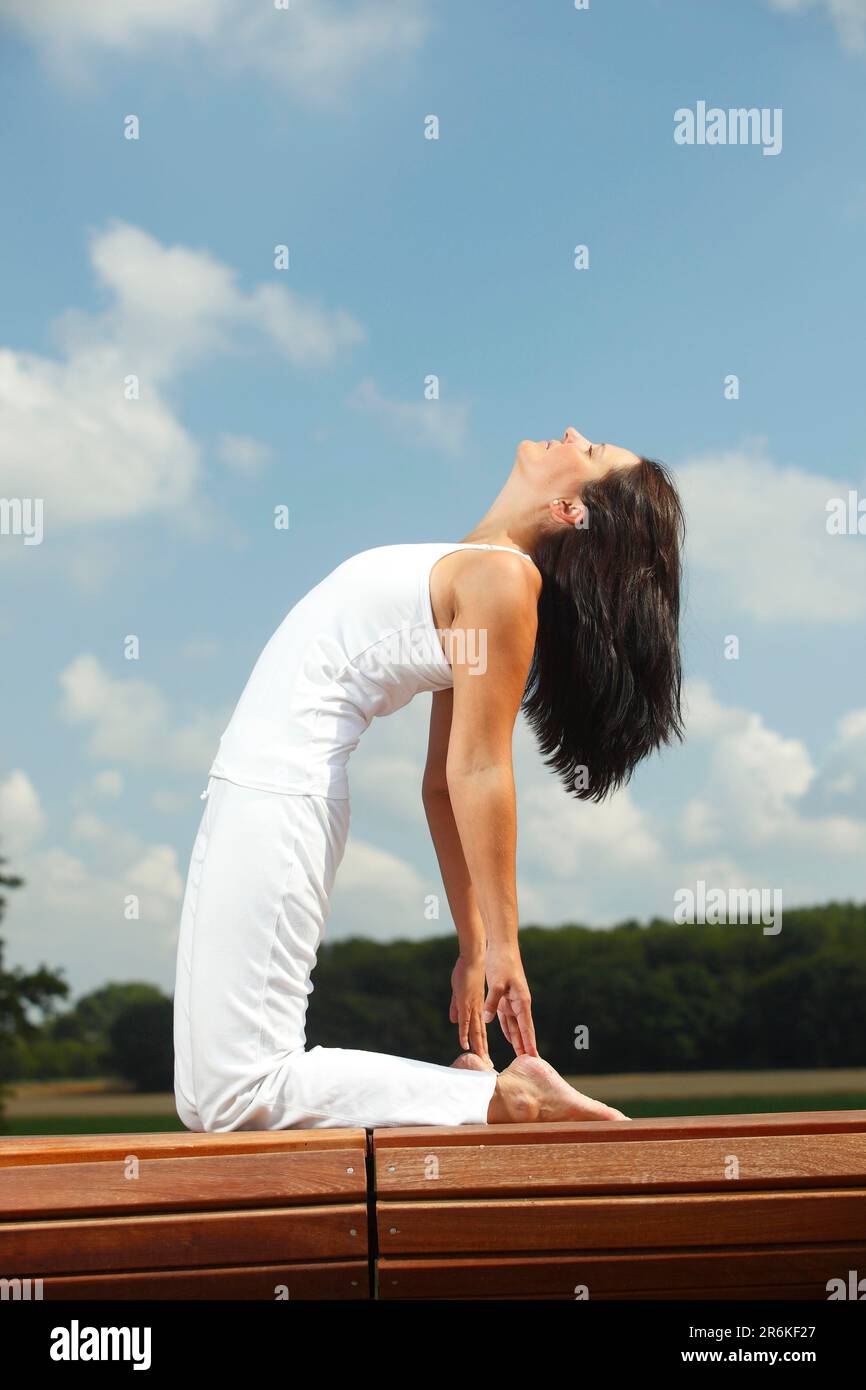 Camel exercise hi-res stock photography and images - Alamy