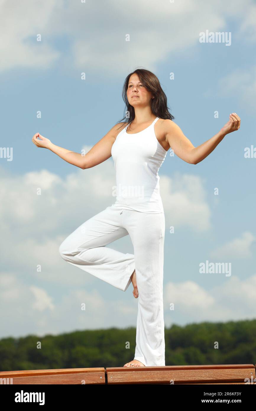 Yoga 'Tree Pose', Yoga Exercise Stock Photo - Alamy