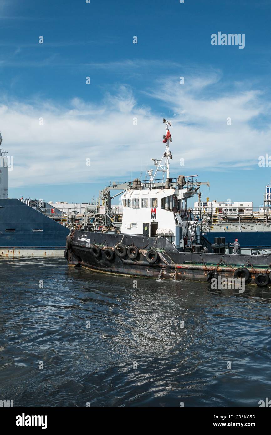 Harbor Dynamics: Tugboat Operations Facilitating Ship Movement at ...