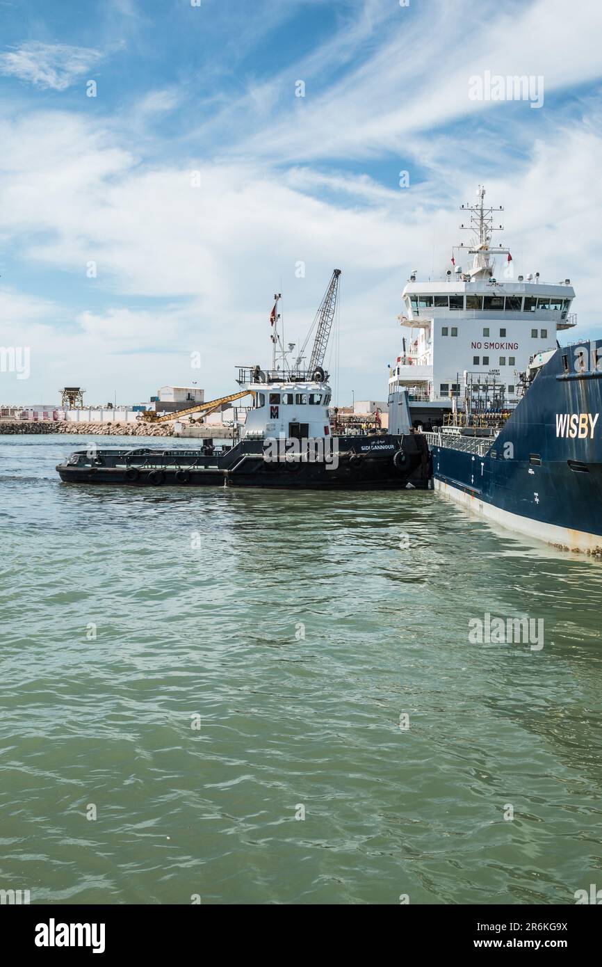 Harbor Dynamics: Tugboat Operations Facilitating Ship Movement at ...