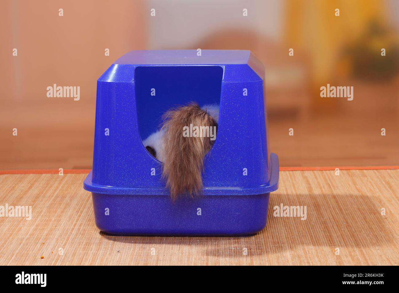 Tail box hi-res stock photography and images - Alamy