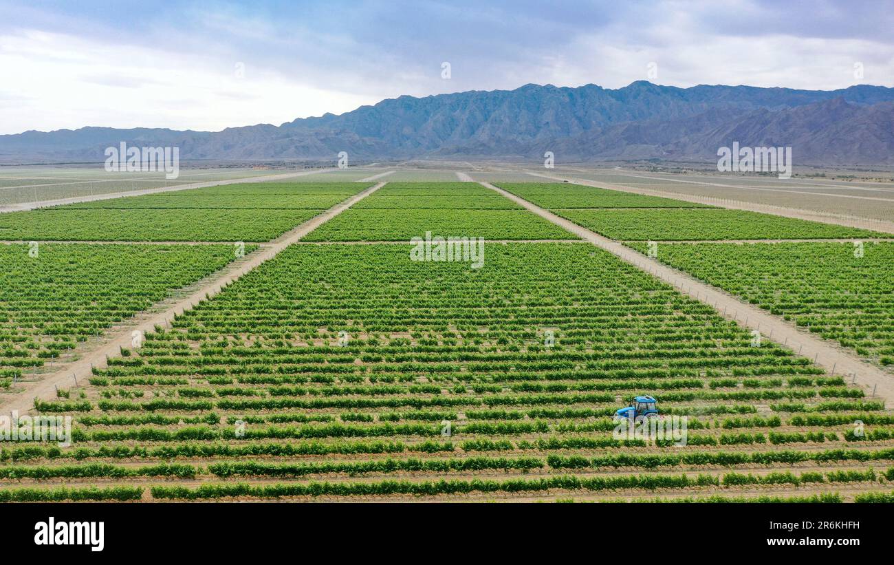 Helan mountain wine hi-res stock photography and images - Alamy